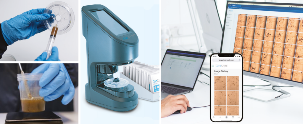 Ovacyte – jetzt auch für Kleintiere! · Animed Service AG